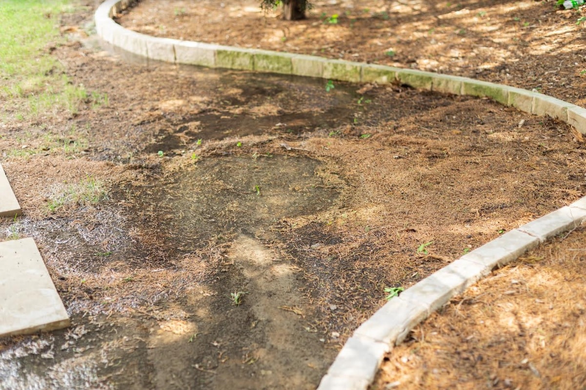 Drainage: The Andy’s Difference - Andy’s Sprinkler, Drainage & Lighting