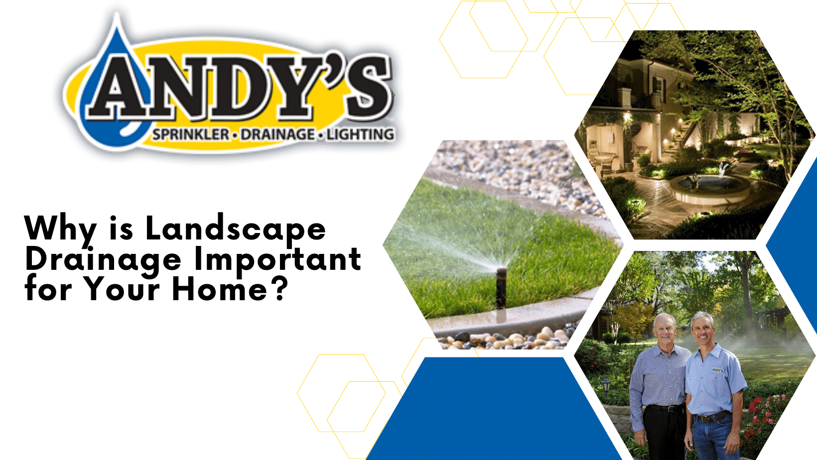 Importance of Landscape Drainage for Healthy Yard | Andy's